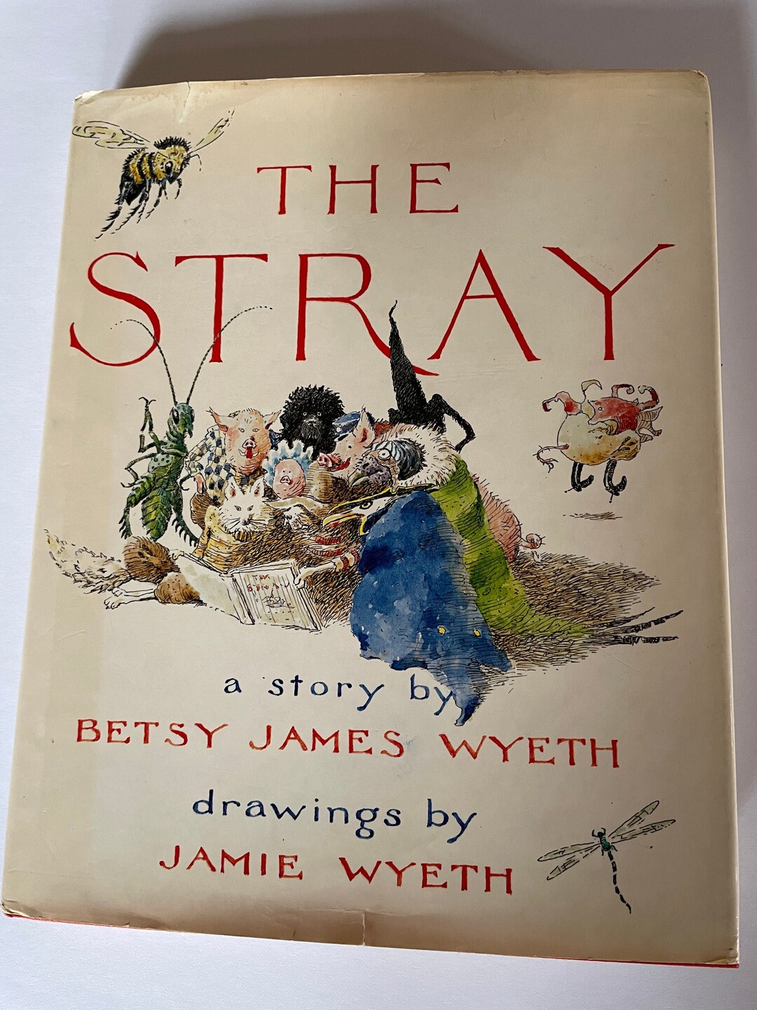 The Stray by Betsy James Wyeth, Illus. by Jamie Wyeth, 1st Edition - Etsy