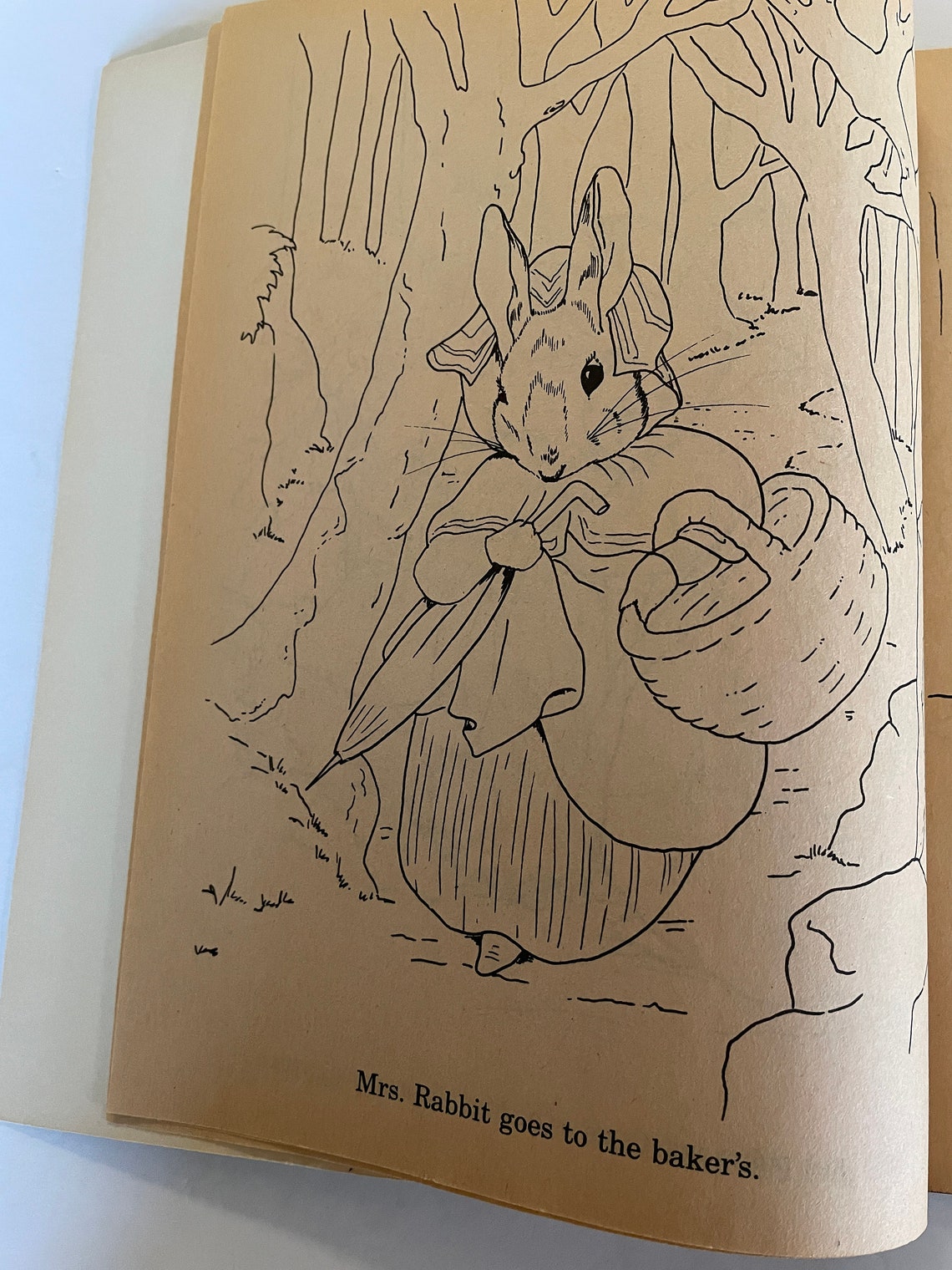 Peter Rabbit and Benjamin Bunny Coloring Book by Beatrix Potter, Unused ...