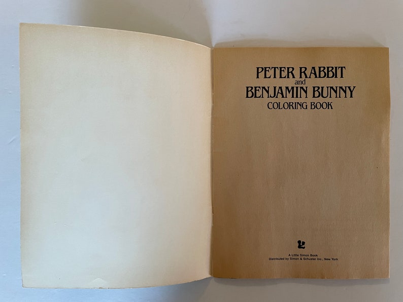Peter Rabbit and Benjamin Bunny Coloring Book by Beatrix Potter, Unused ...