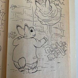 Peter Rabbit and Benjamin Bunny Coloring Book by Beatrix Potter, Unused ...