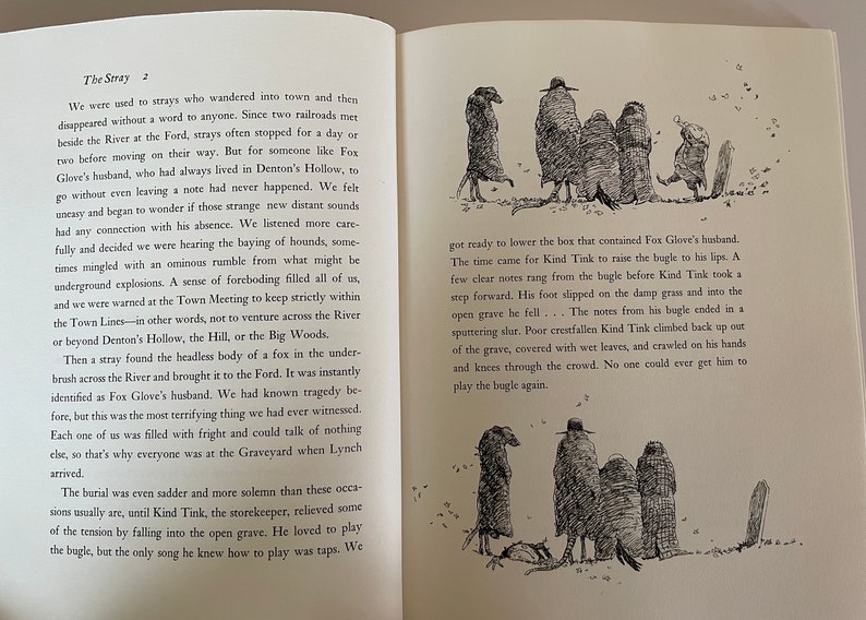 The Stray by Betsy James Wyeth, Illus. by Jamie Wyeth, 1st Edition - Etsy