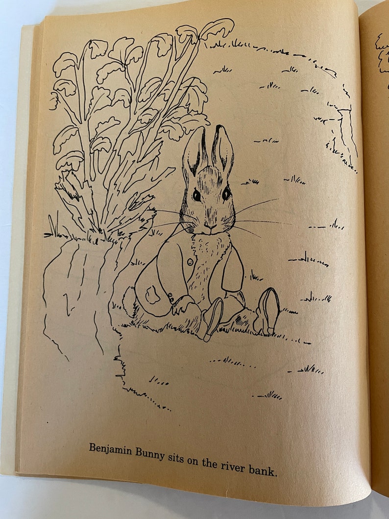 Peter Rabbit and Benjamin Bunny Coloring Book by Beatrix Potter, Unused ...