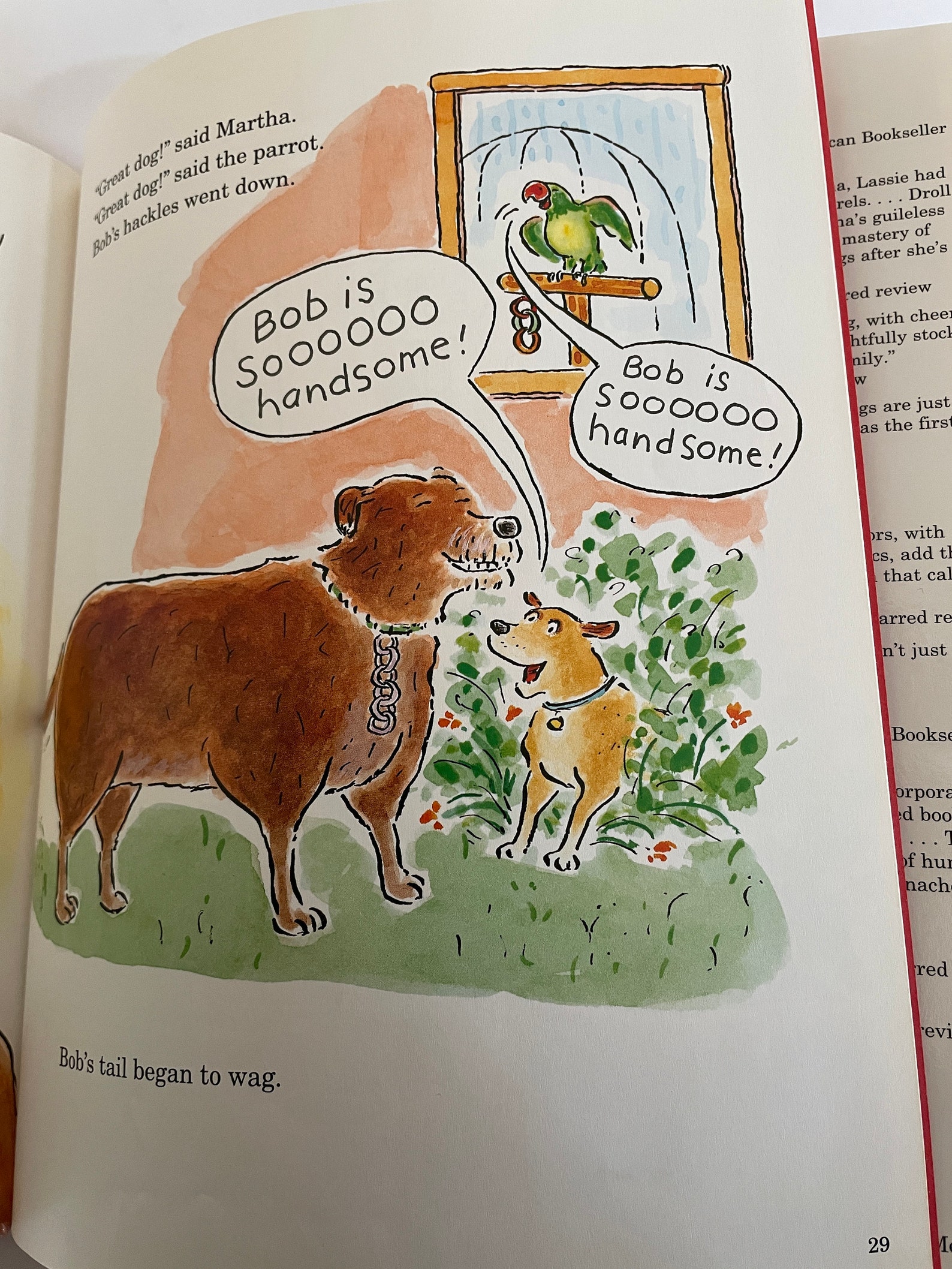 Martha Walks the Dog by Susan Meddaugh, 1st Ed 1st Printing - Etsy