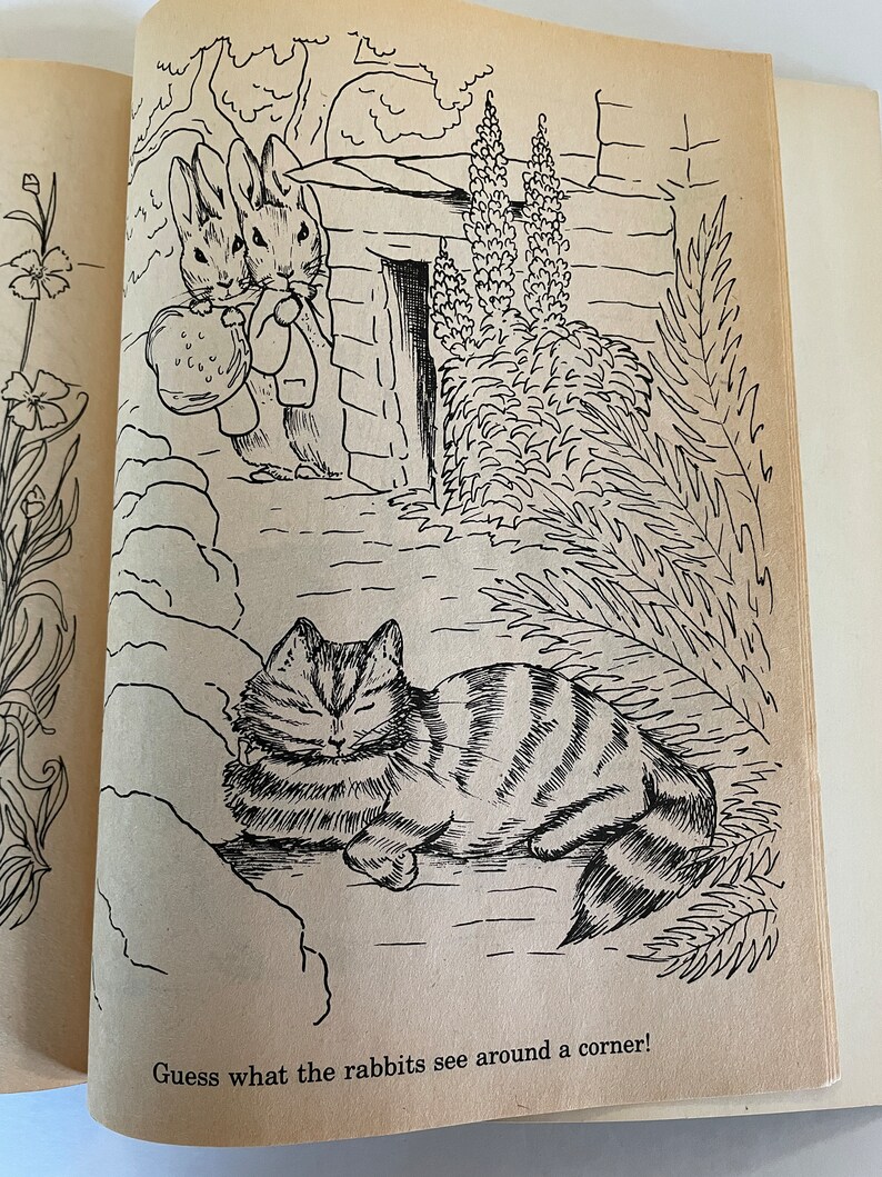 Peter Rabbit and Benjamin Bunny Coloring Book by Beatrix Potter, Unused ...