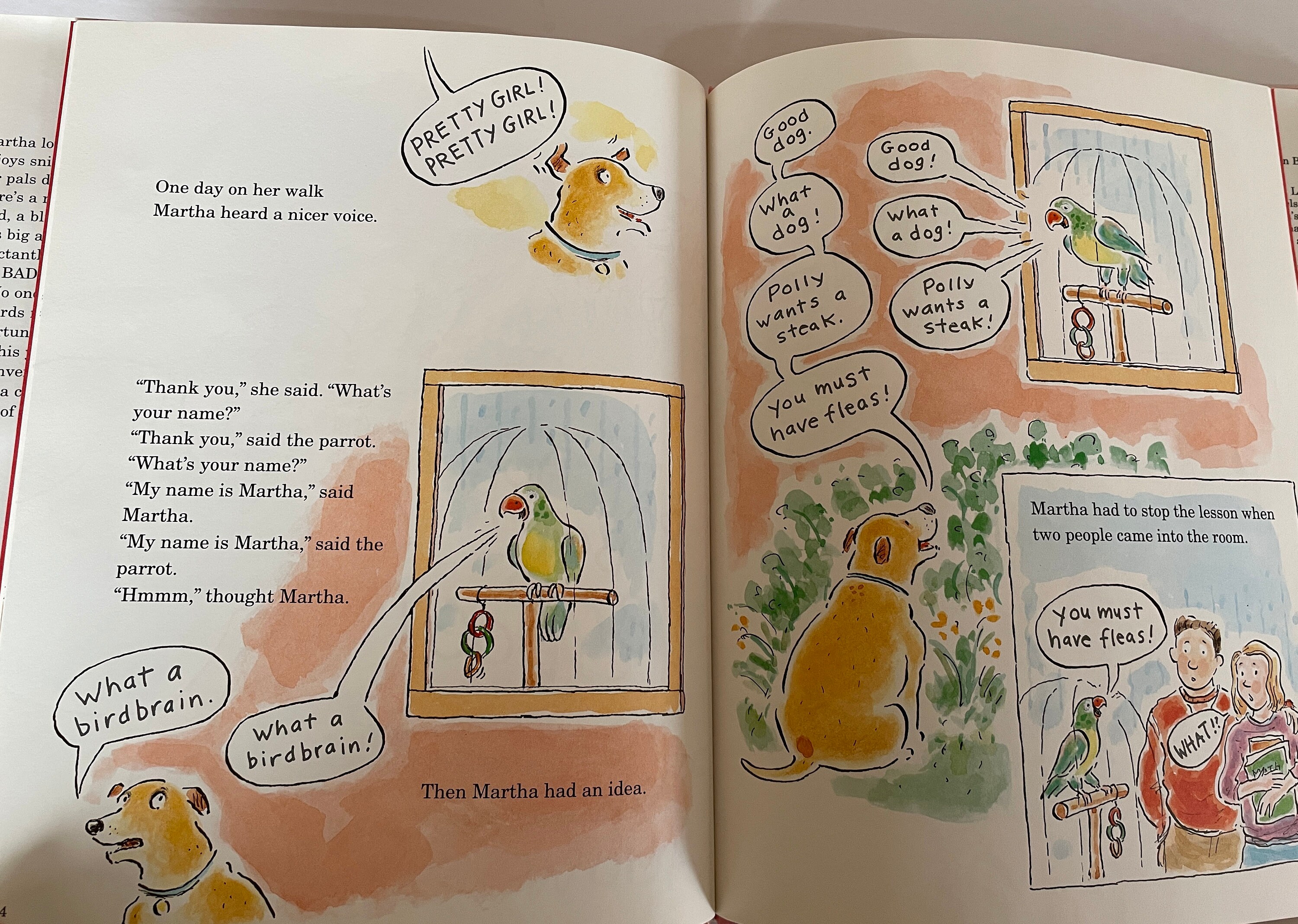 Martha Walks the Dog by Susan Meddaugh, 1st Ed 1st Printing - Etsy