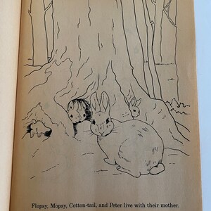 Peter Rabbit and Benjamin Bunny Coloring Book by Beatrix Potter, Unused ...