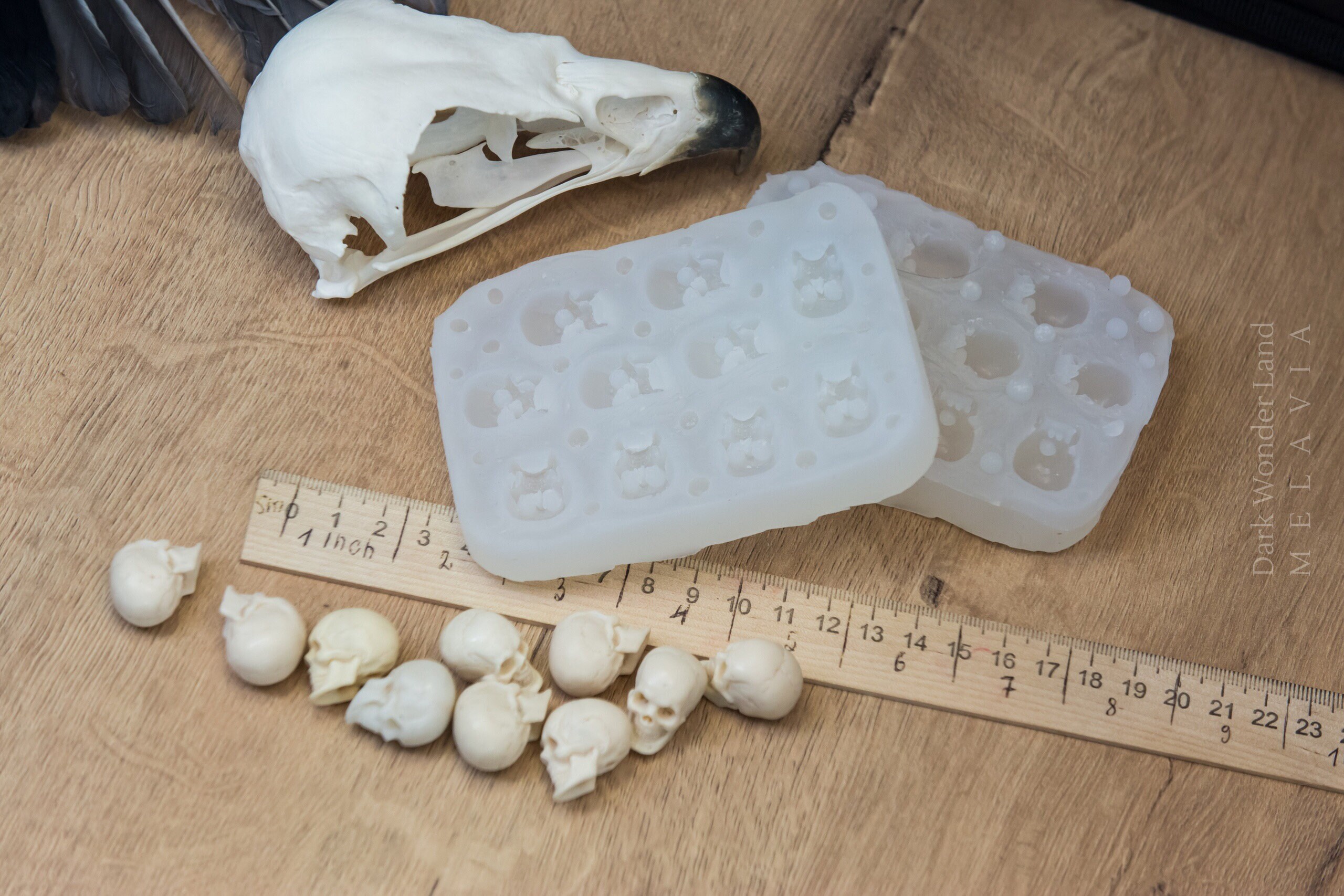 3D mold SET human skull 19 millimeters 10 pieces | Etsy