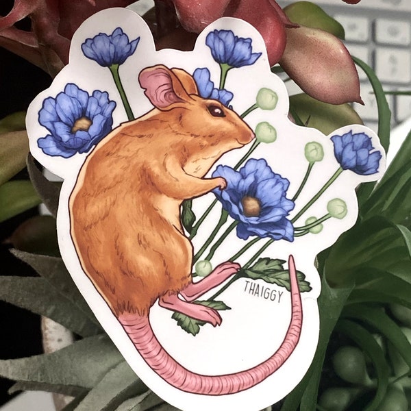 Field Mouse - Etsy