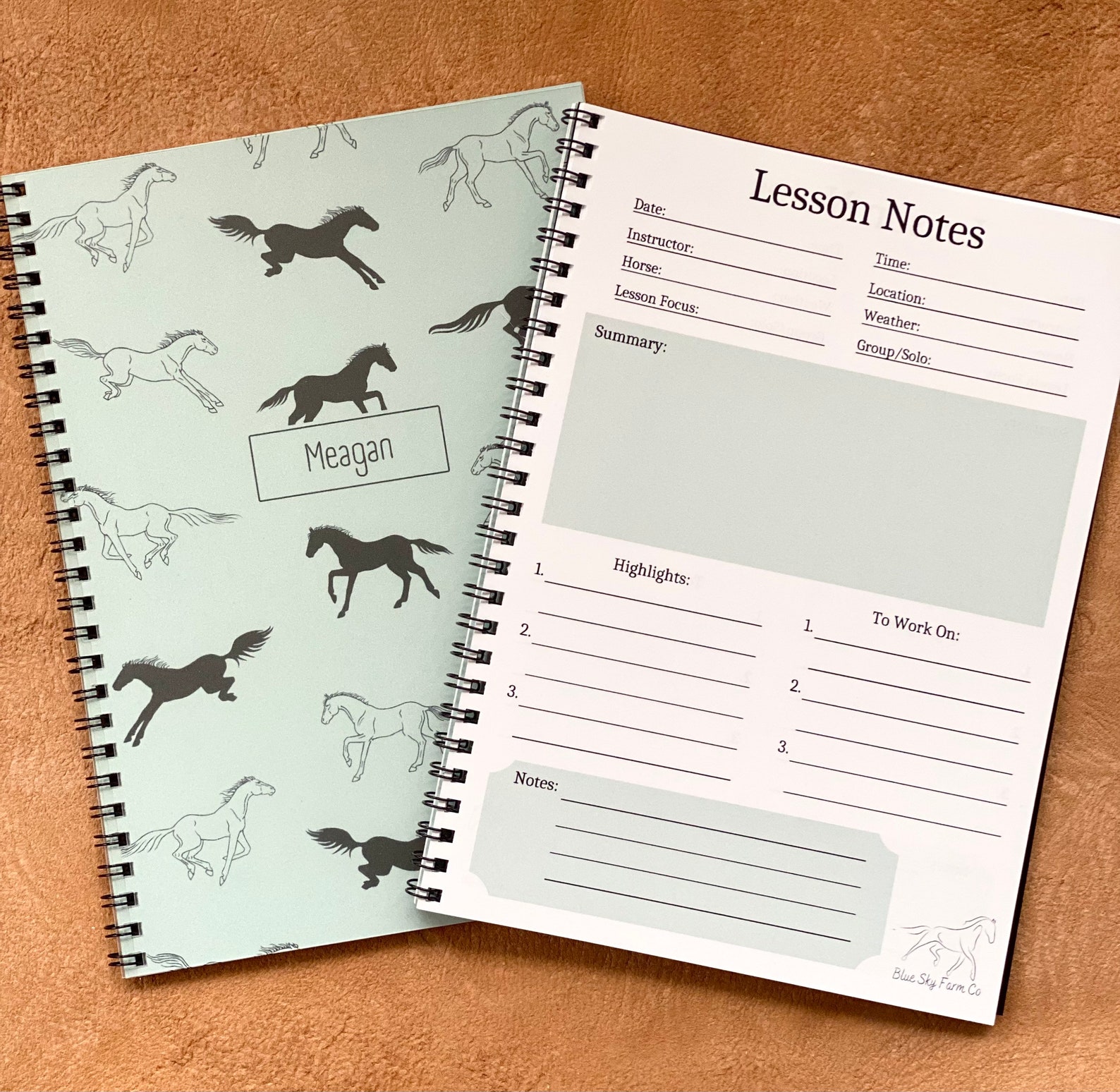 Personalized Horse Lesson Note Journal Equestrian Journal - Etsy