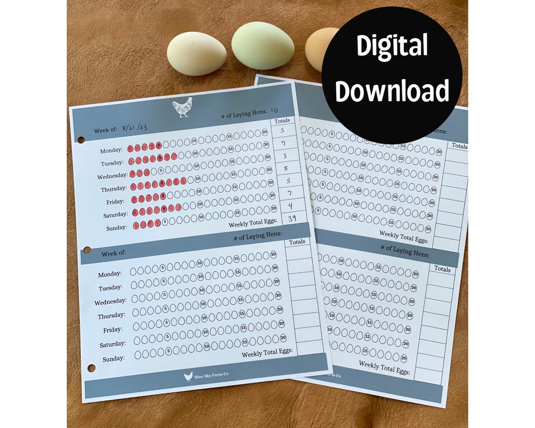 Printable Egg Record Keeper Backyard Chicken Homestead Digital Download ...