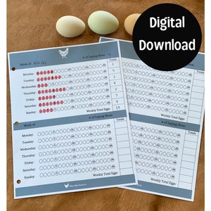 Printable Egg Record Keeper Backyard Chicken Homestead Digital Download ...