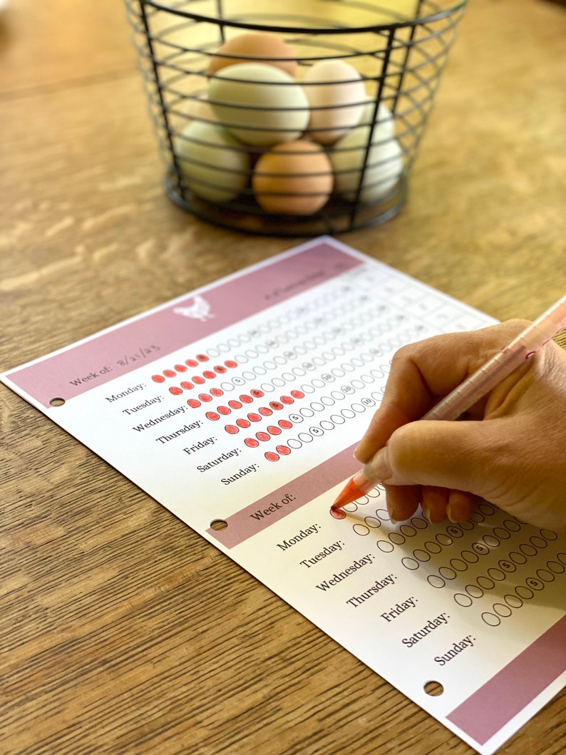 Printable Chicken Homestead Sheet Chicken Egg Tracker Beginner Chicken ...