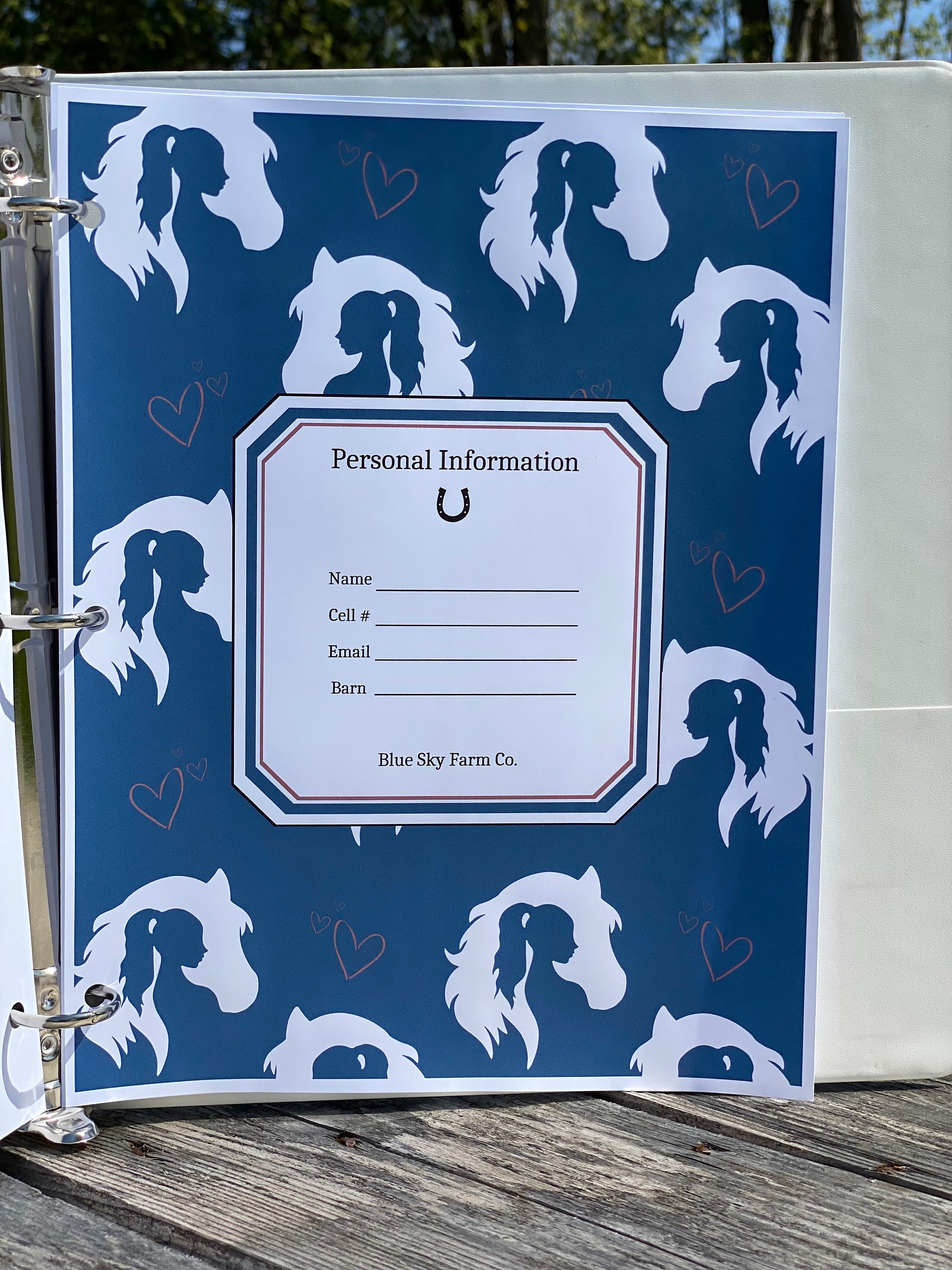 Horse Lesson Journal Gift for Teenage Girl Horse Notebook Simple ...