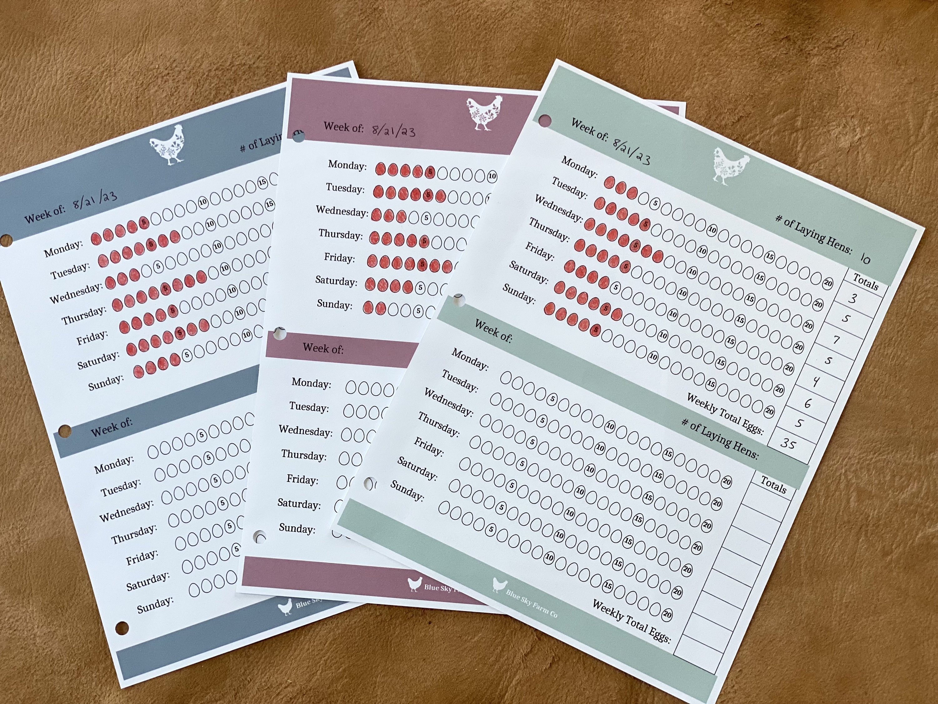 Printable Chicken Homestead Sheet Chicken Egg Tracker Beginner Chicken ...