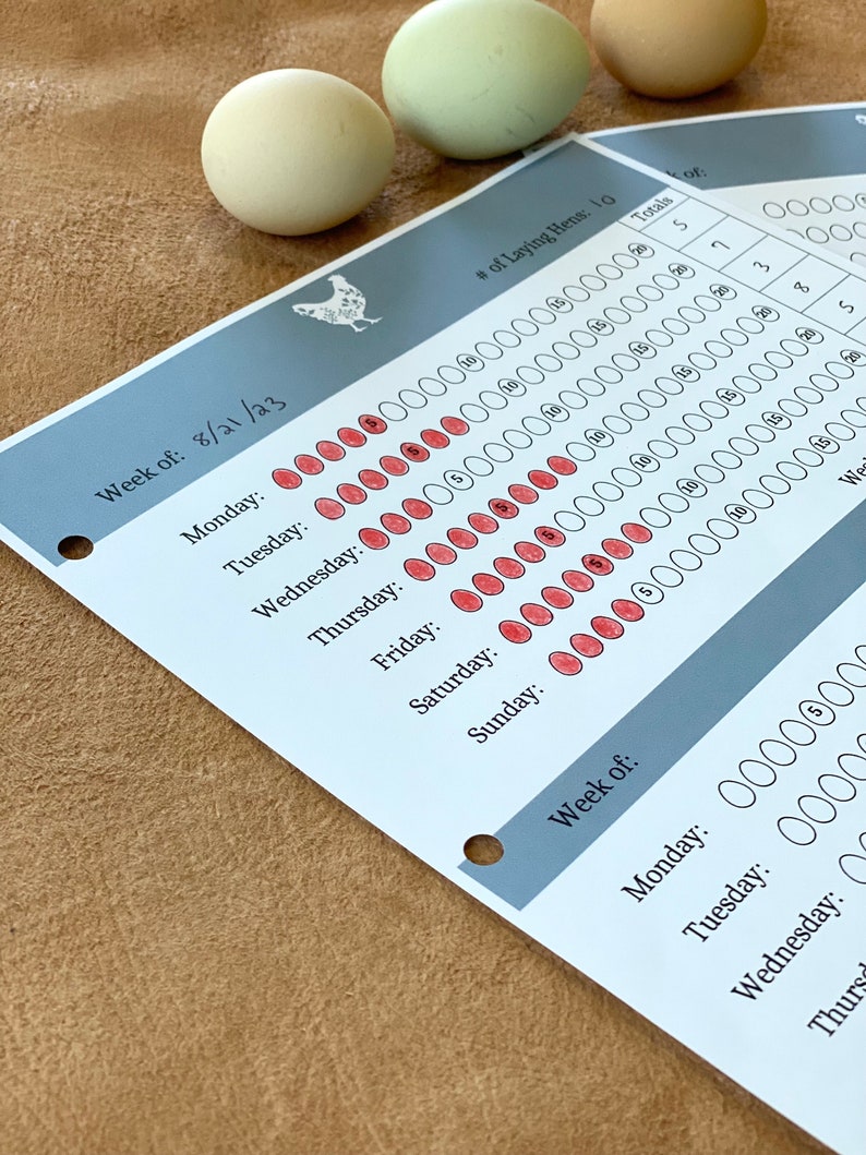 Printable Egg Record Keeper Backyard Chicken Homestead Digital Download ...