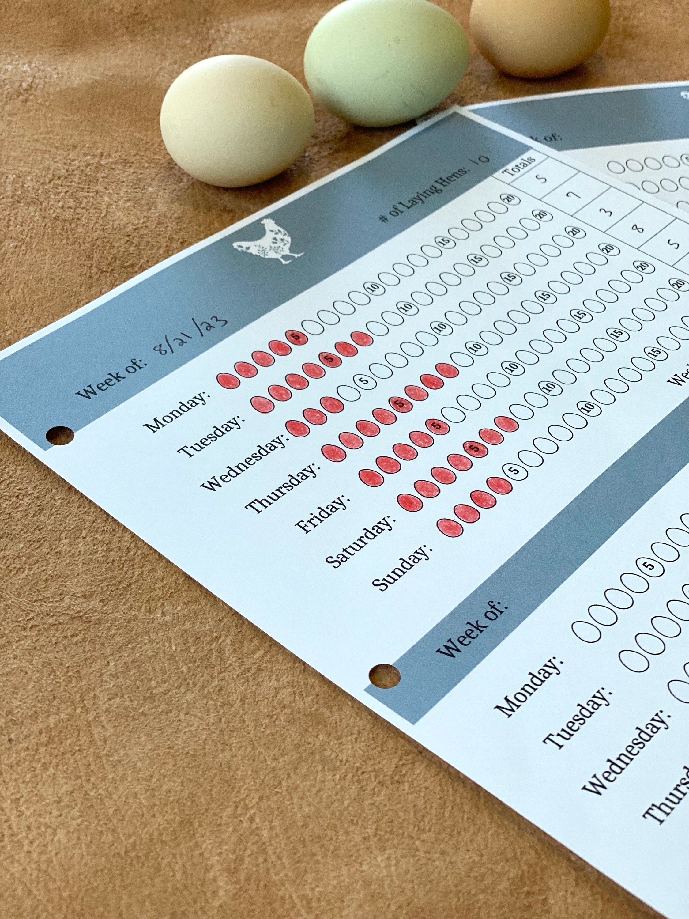 Printable Egg Record Keeper Backyard Chicken Homestead Digital Download ...