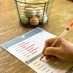 Printable Chicken Egg and Expense Tracker Journal for Chicken Expenses ...