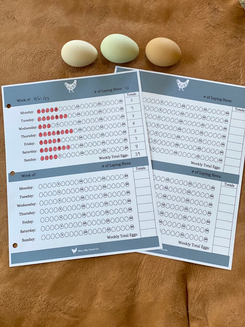 Printable Egg Record Keeper Backyard Chicken Homestead Digital Download ...