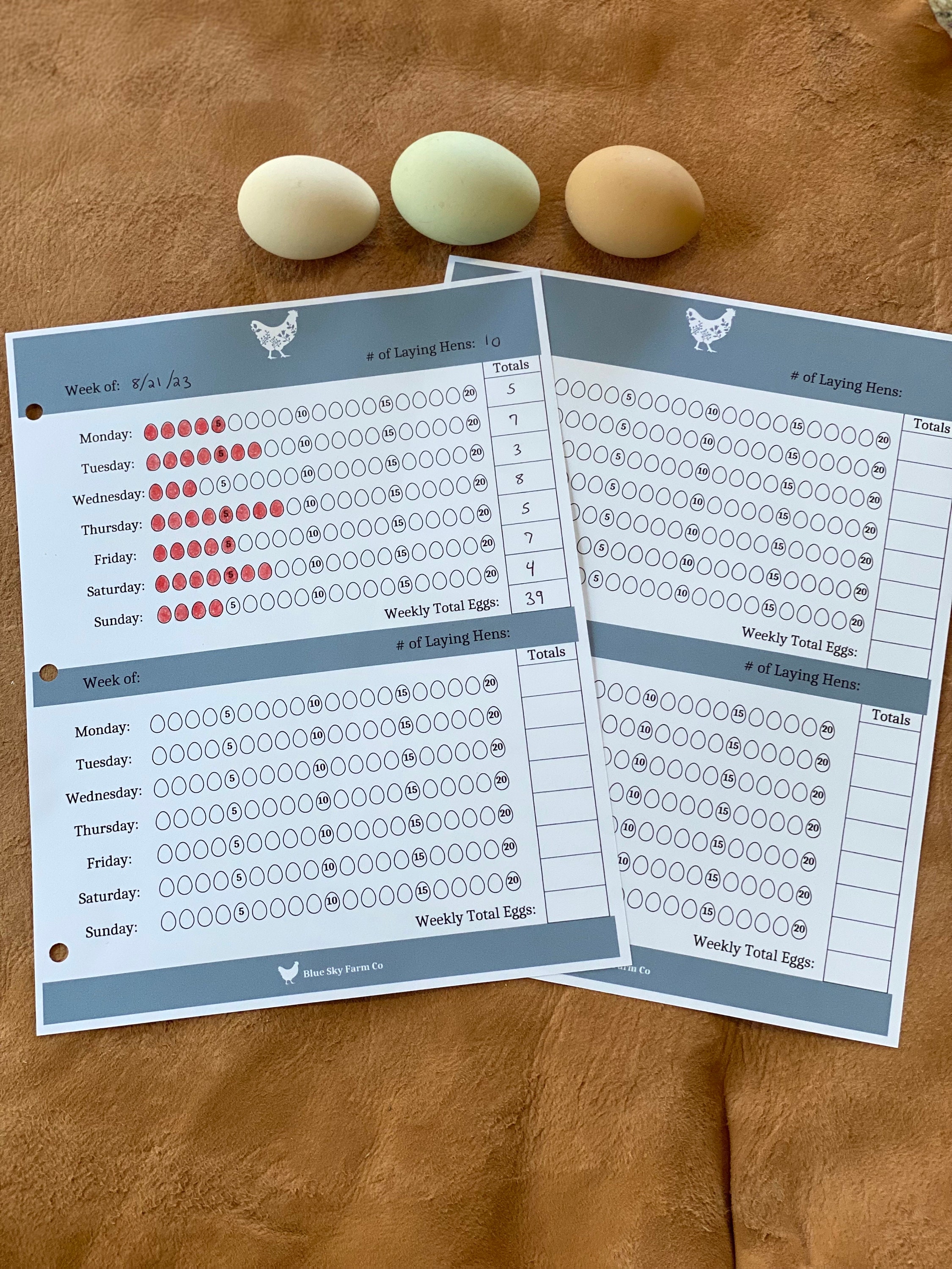 Printable Egg Record Keeper Backyard Chicken Homestead Digital Download ...