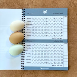 Egg Production Tracker Chicken Egg Chart Kids Chores Journal Farm ...
