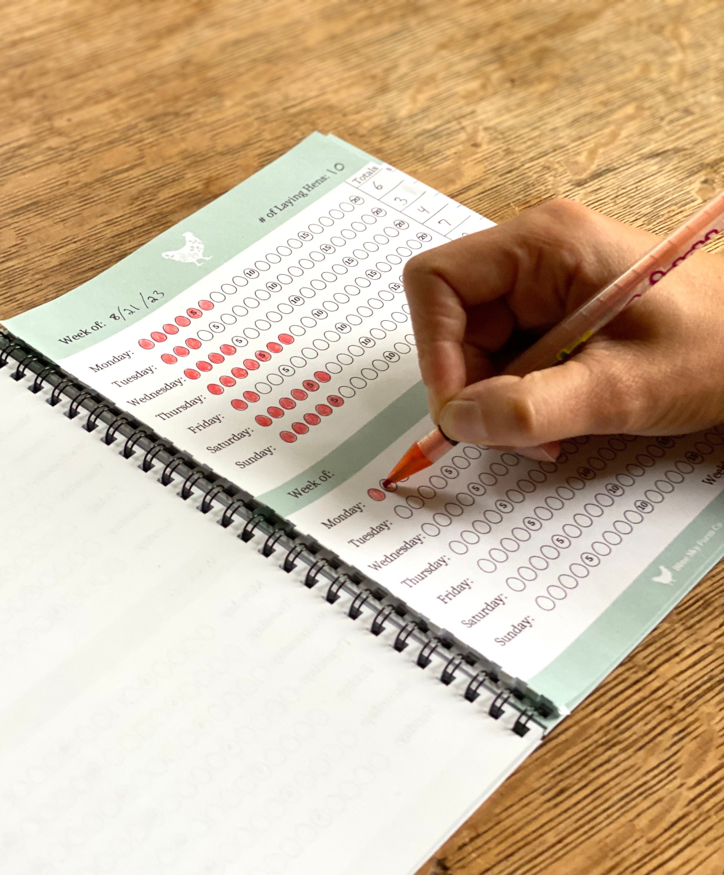 Chicken Egg Collecting Journal for Homesteading Gift Chicken - Etsy