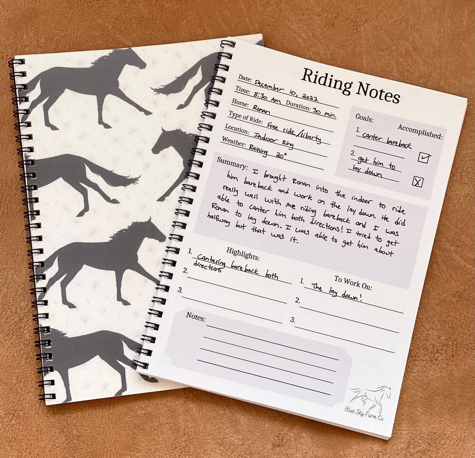 Equestrian Riding Journal Horse Training Log Barn Gift for - Etsy