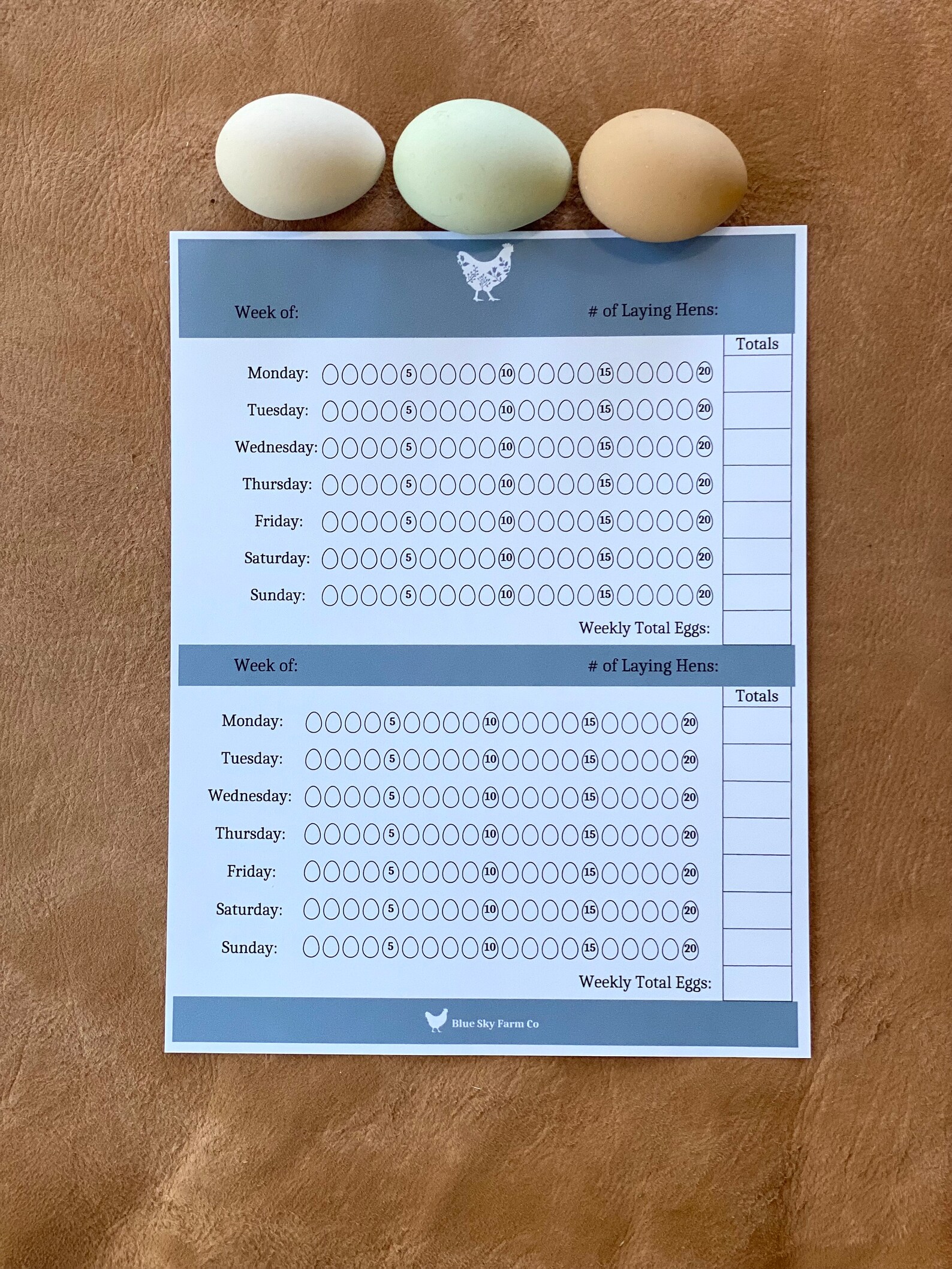 Printable Egg Record Keeper Backyard Chicken Homestead Digital Download ...