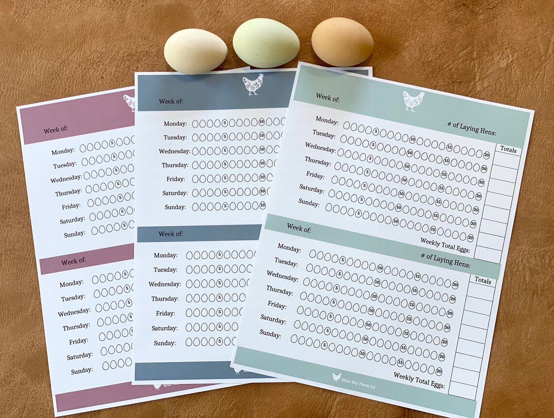 Printable Chicken Homestead Sheet Chicken Egg Tracker Beginner Chicken ...