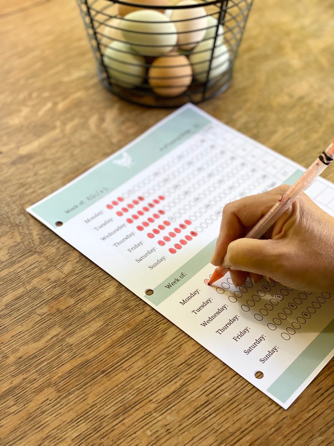 Digital Download Chicken Egg Collecting Chart Homeschool Supplies for ...