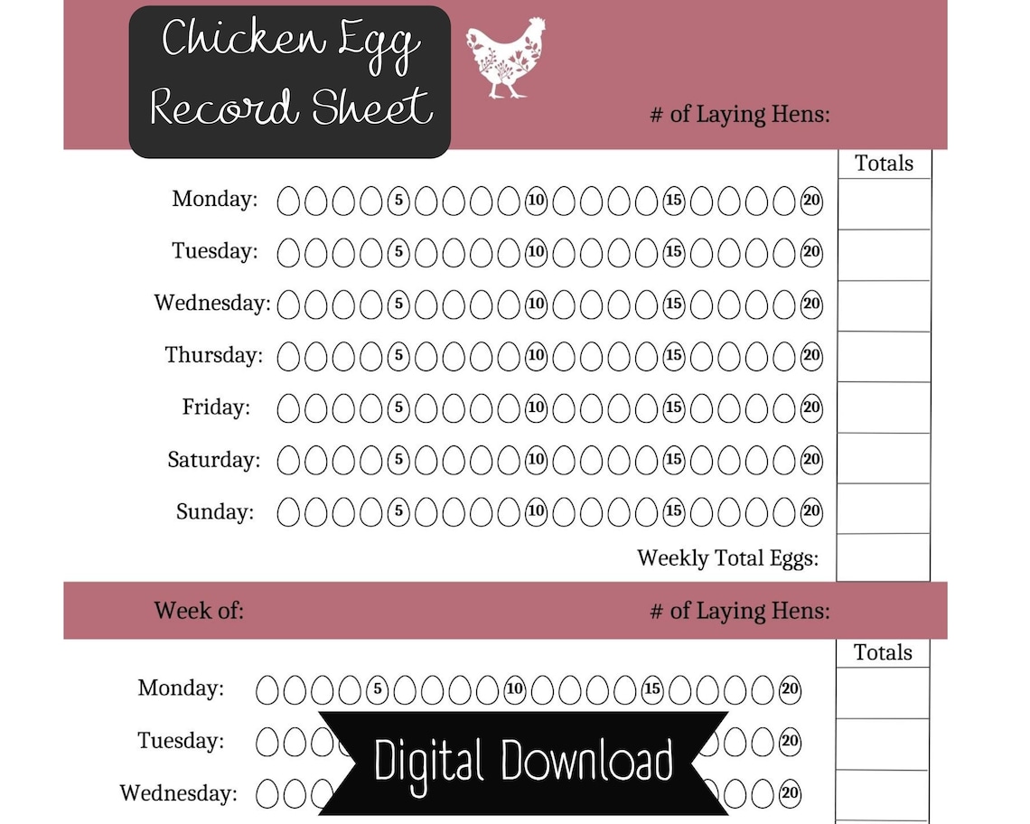 Printable Chicken Egg Record Sheet Egg Production Tracking Template ...