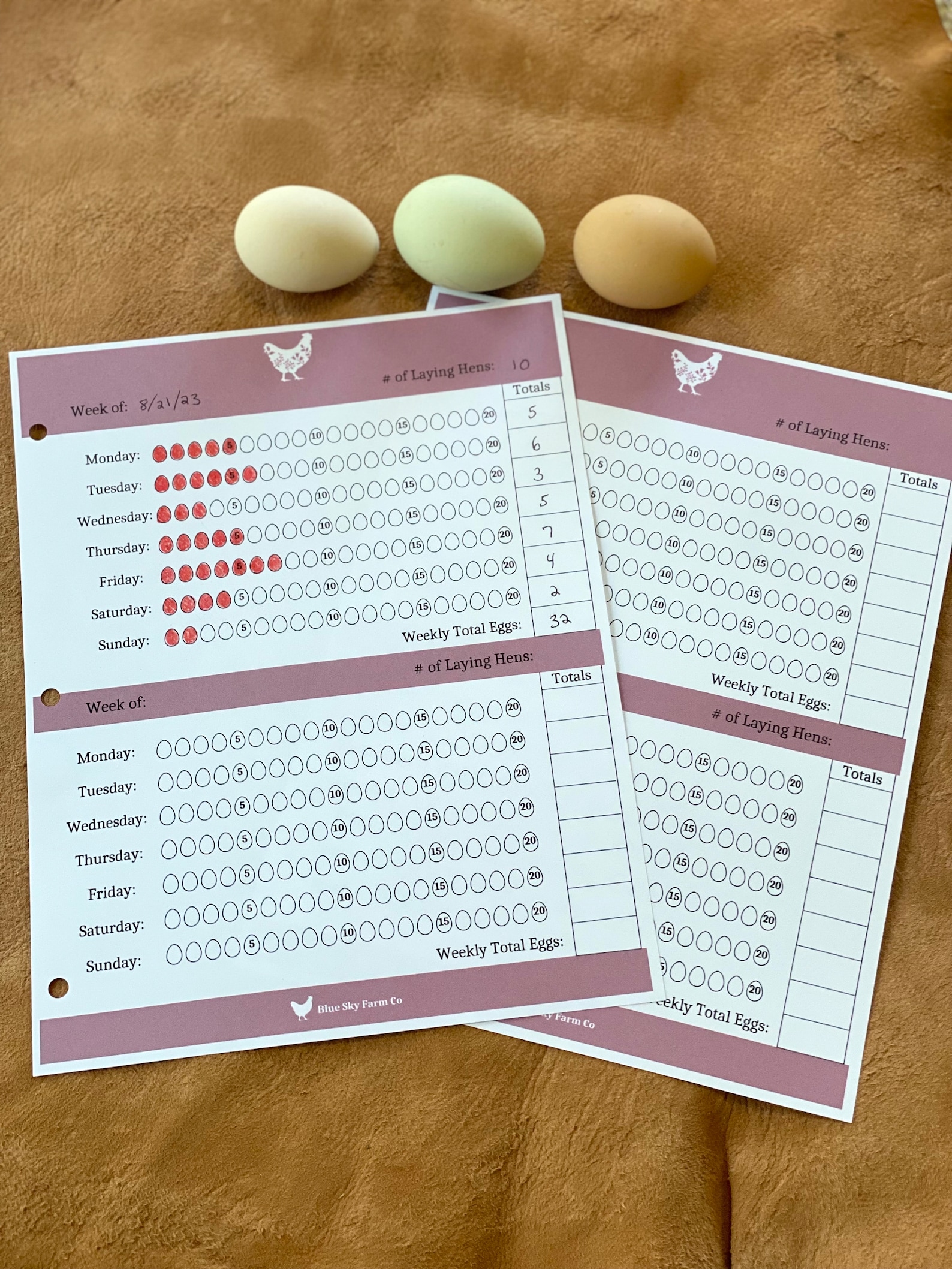Printable Chicken Egg Record Sheet Egg Production Tracking Template ...