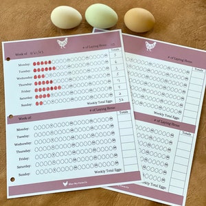 Printable Chicken Homestead Sheet Chicken Egg Tracker Beginner Chicken ...