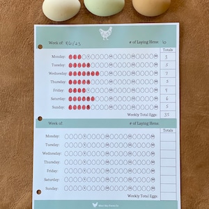 Printable Chicken Egg and Expense Tracker Journal for Chicken Expenses ...