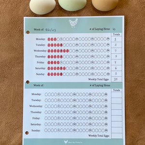 Digital Download Chicken Egg Collecting Chart Homeschool Supplies for ...