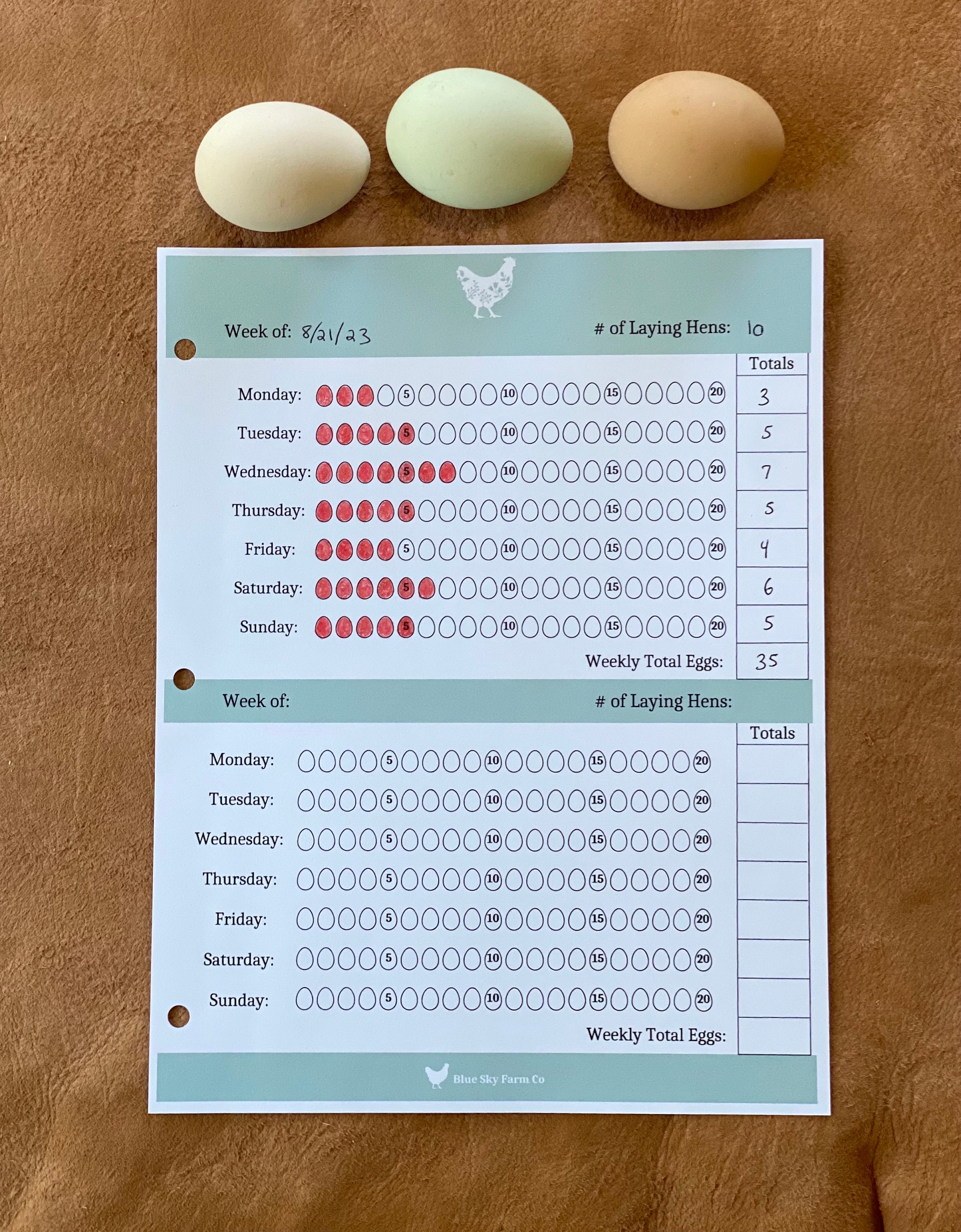 Digital Download Chicken Egg Collecting Chart Homeschool Supplies for ...