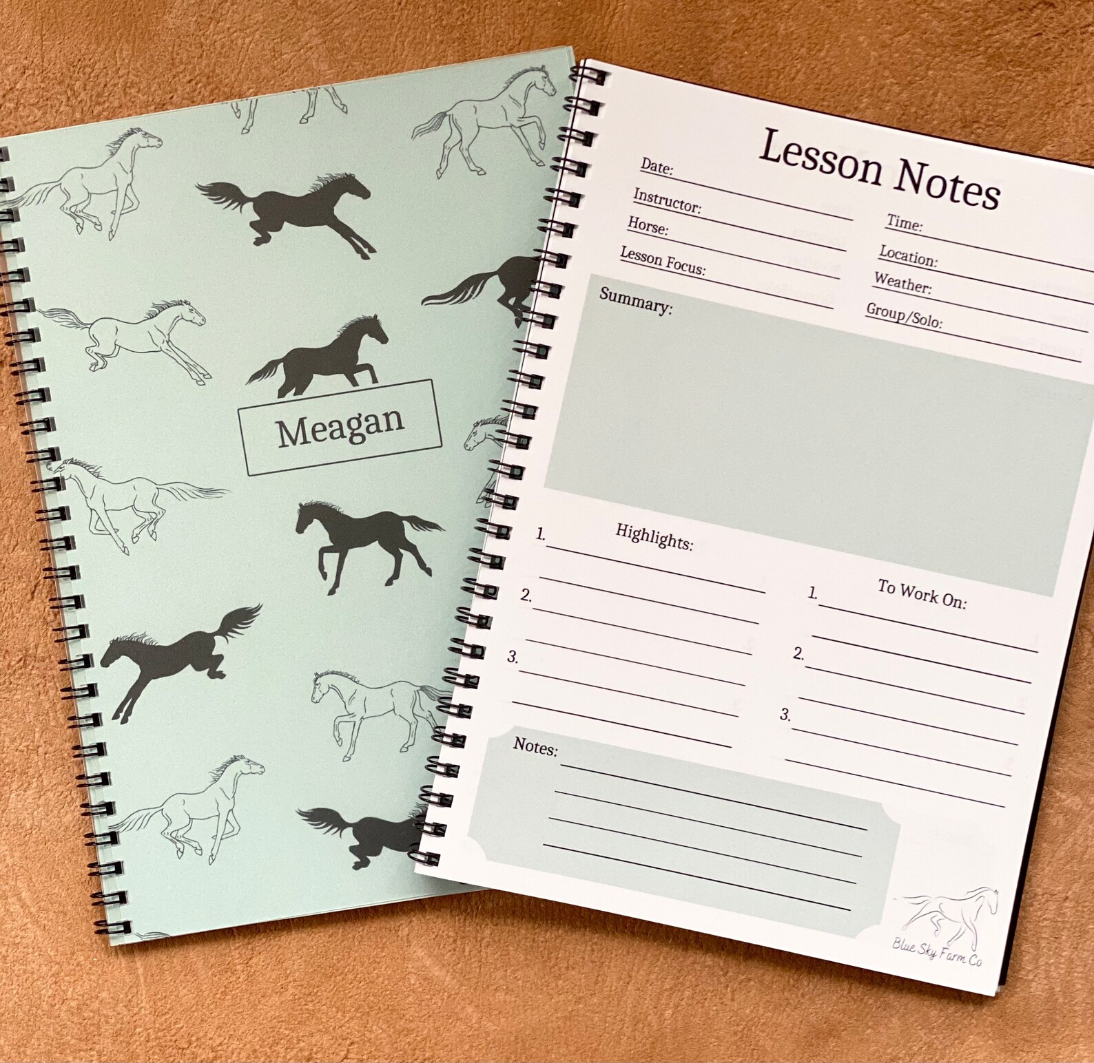 Personalized Horse Lesson Note Journal Equestrian Journal Horse ...