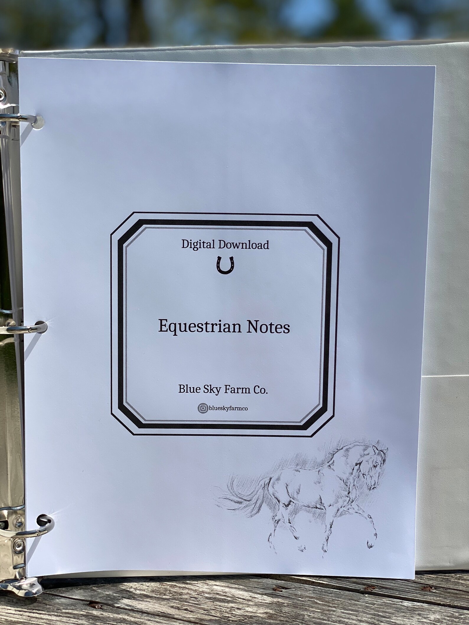 Horse Riding Binder Journal Equestrian Journal Horse Training Log ...
