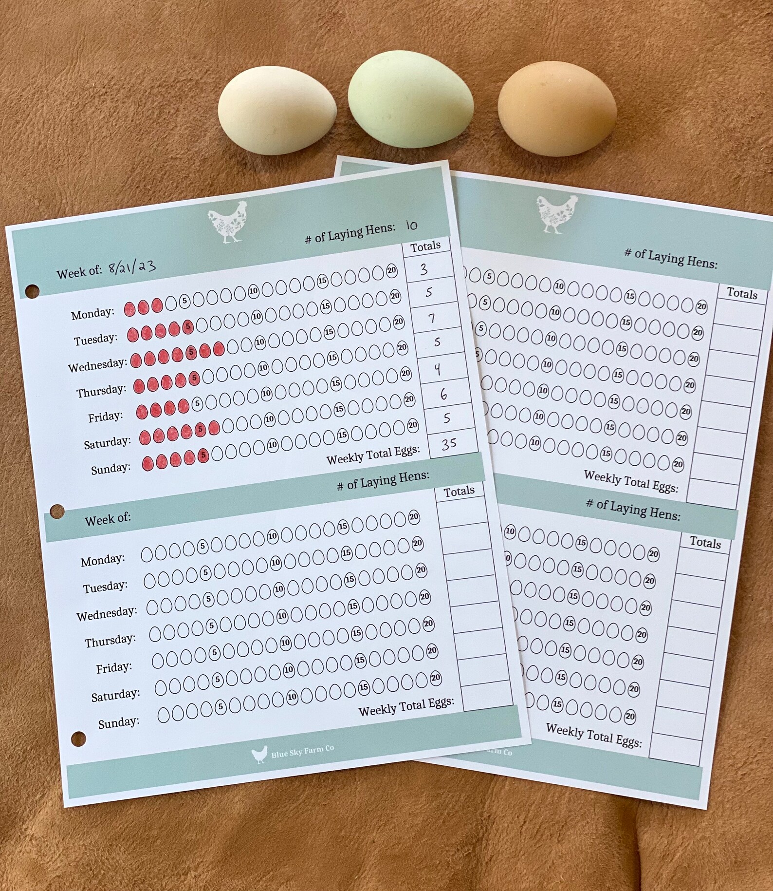 Digital Download Chicken Egg Collecting Chart Homeschool Supplies for ...
