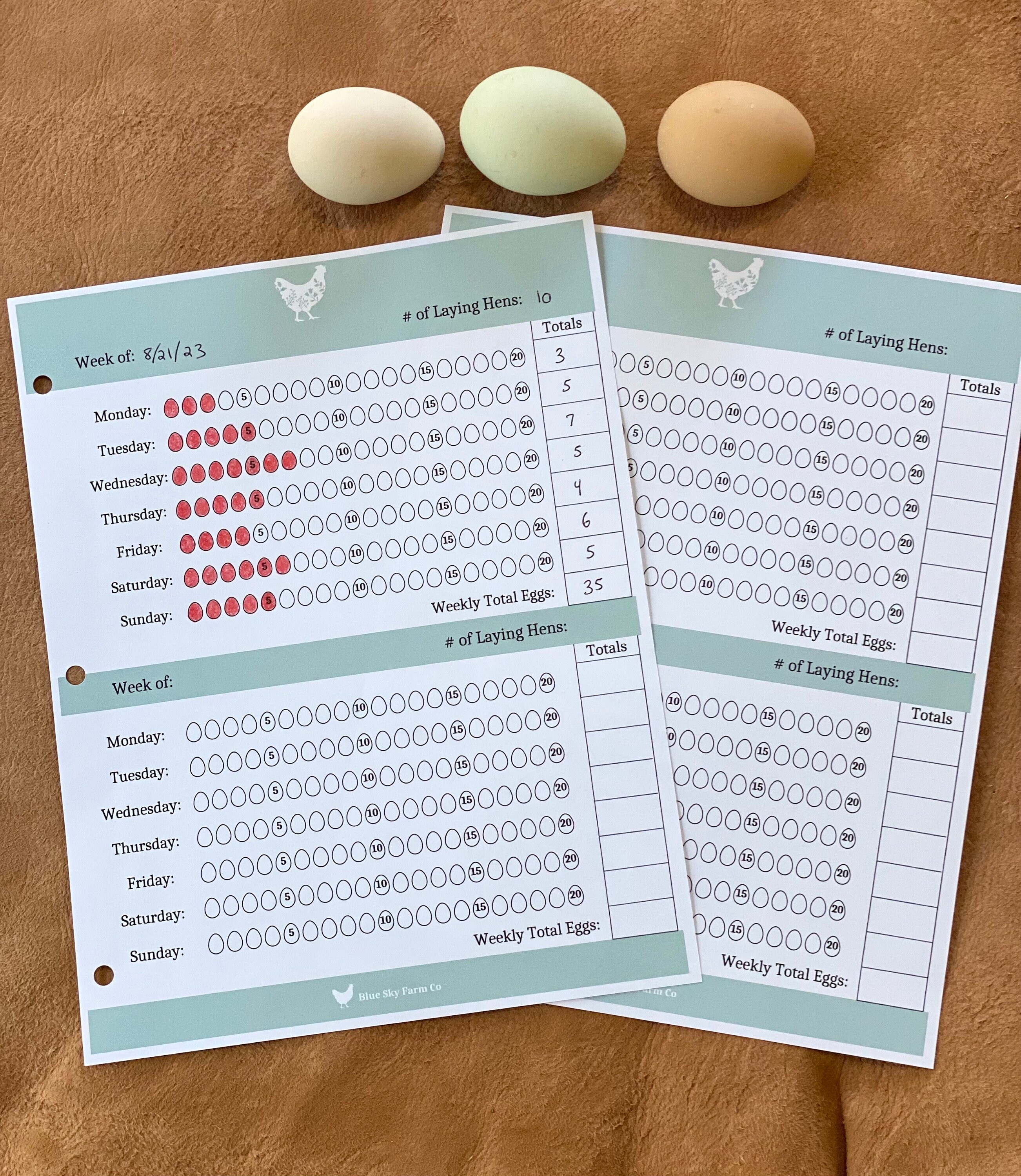 Digital Download Chicken Egg Collecting Chart Homeschool Supplies for ...