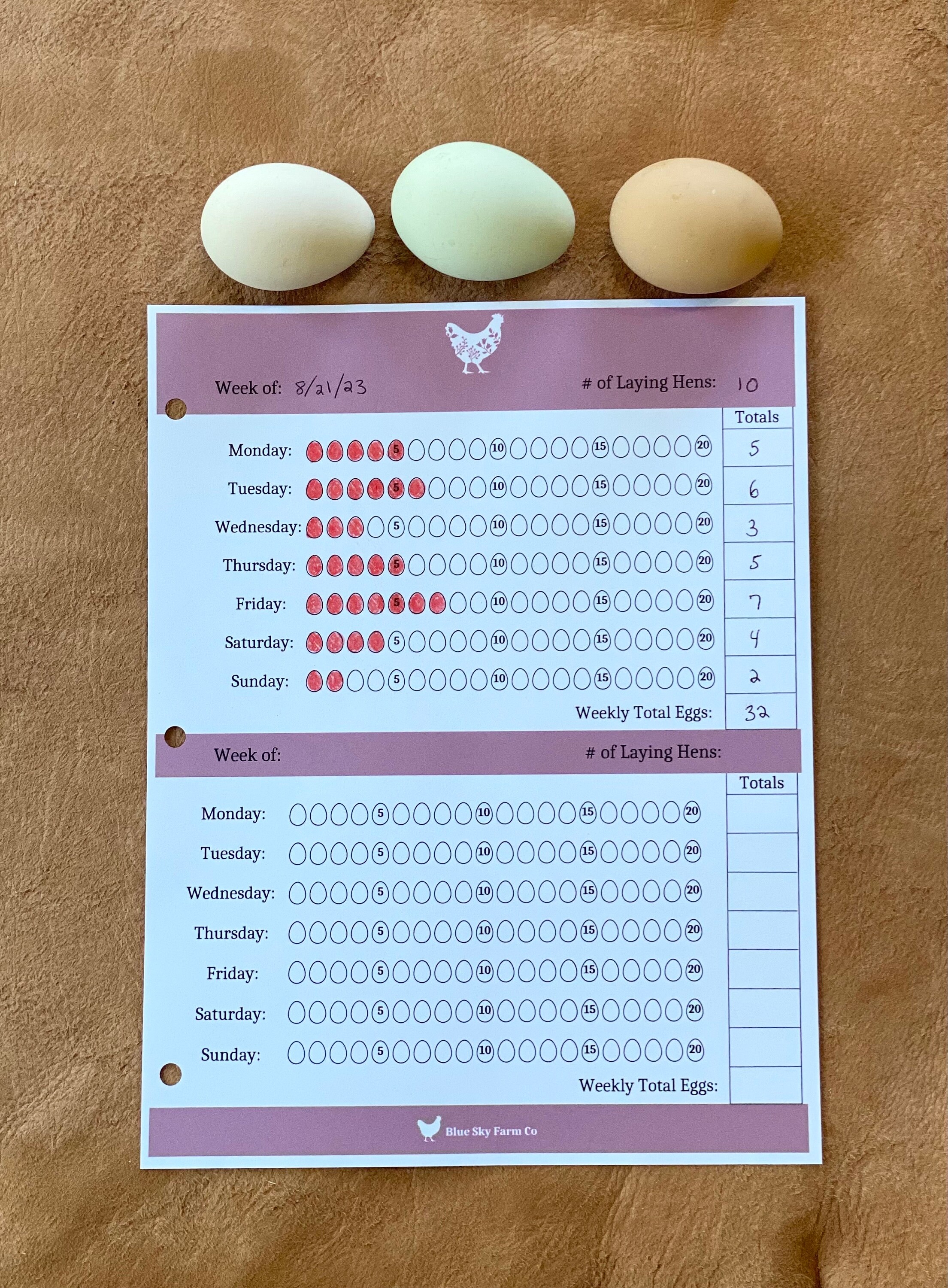 Printable Chicken Homestead Sheet Chicken Egg Tracker Beginner Chicken ...