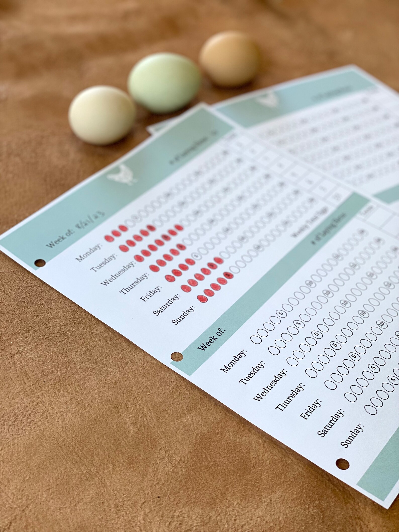 Digital Download Chicken Egg Collecting Chart Homeschool Supplies for ...