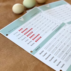 Digital Download Chicken Egg Collecting Chart Homeschool Supplies for ...