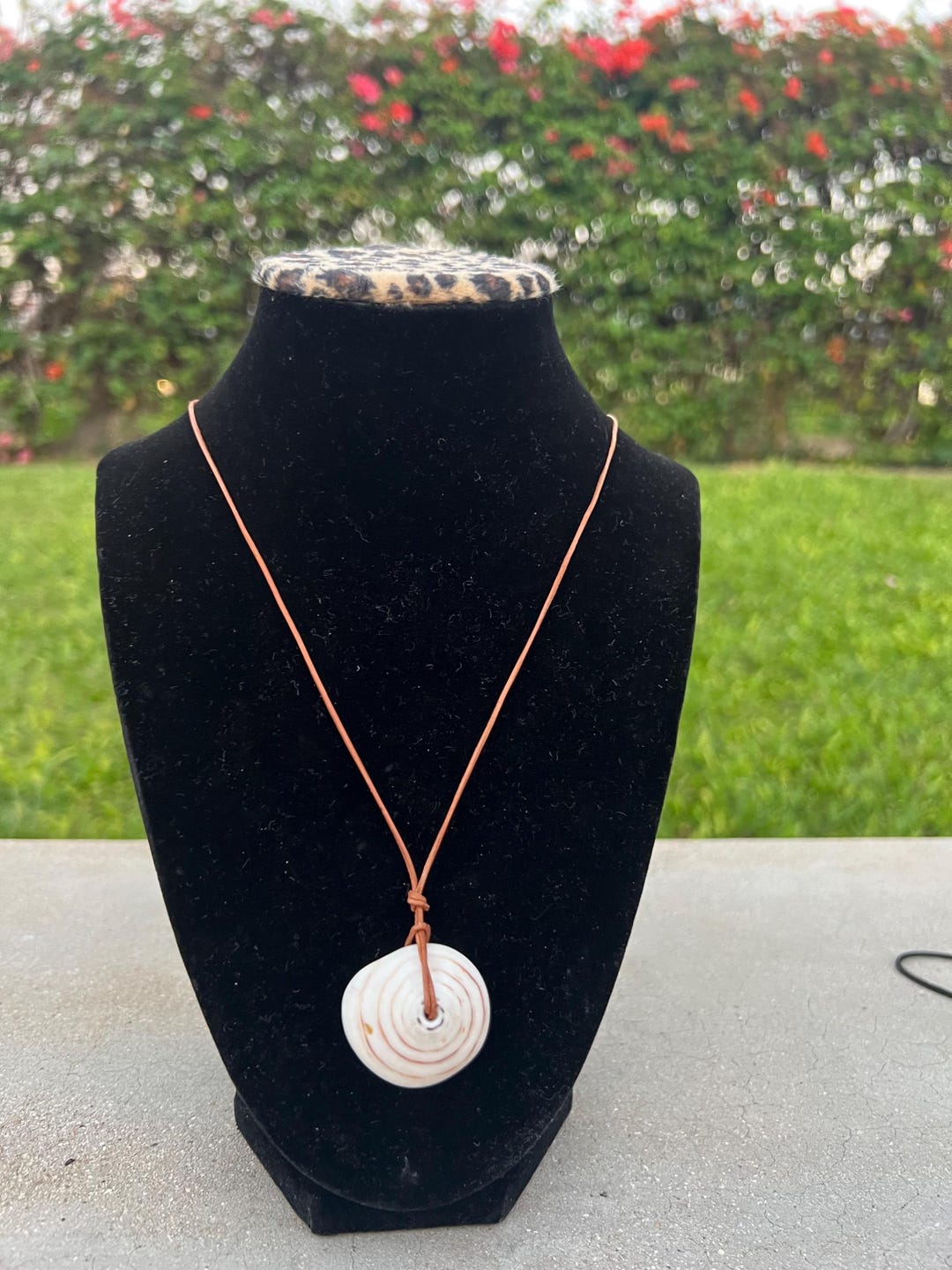 Hawaiian Extra Large Puka Shell 22 Leather Adjustable Cord - Etsy