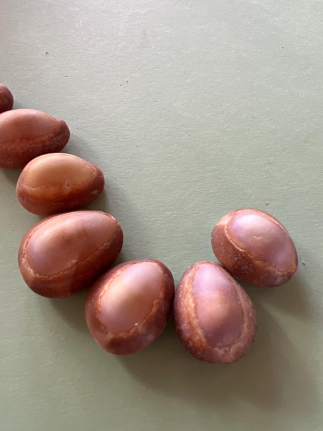 Hawaiian Cowries Shell Lot#113 - Etsy