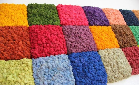 Artificial Moss ALL COLOURS Preserved Reindeer Moss for - Etsy
