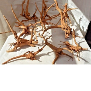 CHEAP Random Redmoor Min 20cm - Fish Tank Root - for Java Fern Moss ...