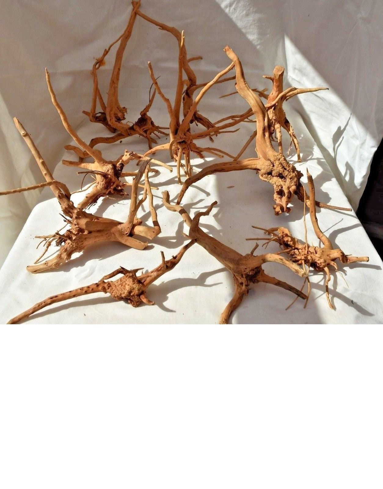 CHEAP Random Redmoor Min 20cm Fish Tank Root for Java Fern | Etsy