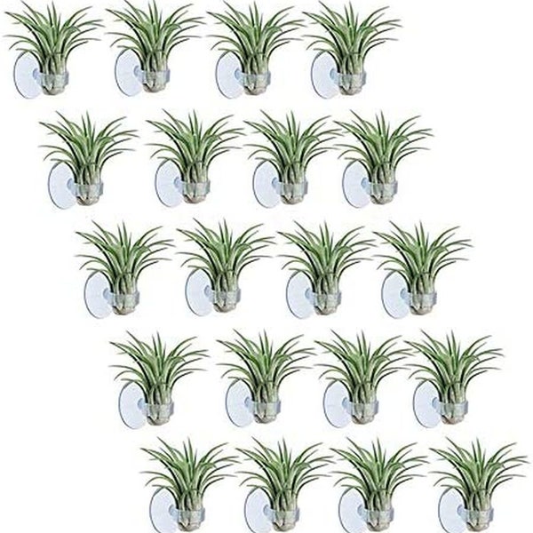 Magnet Air Tool Holder - Etsy UK