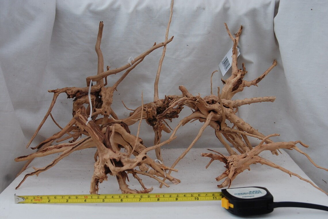 CHEAP Random Redmoor Min 20cm Fish Tank Root for Java Fern | Etsy