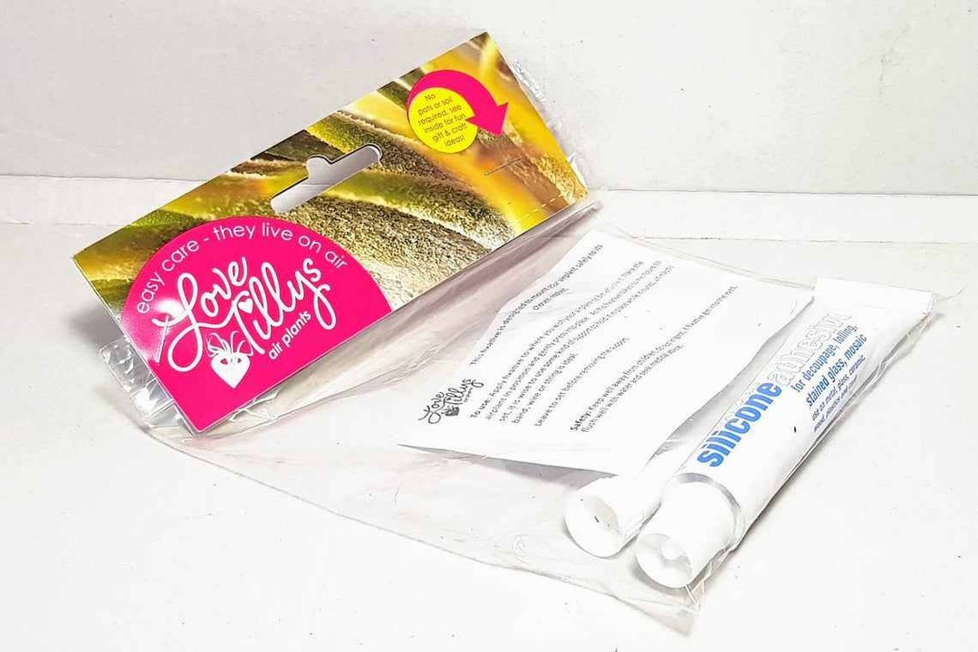 25ml Air Plant Fixative - Glue Tillandsia Live Plants to Wood - Silcone ...